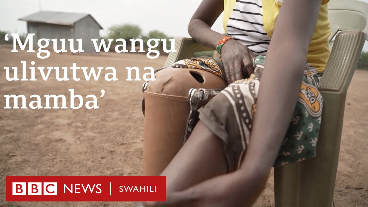 Jinsi mabadiliko ya hali ya hewa yanavyoleta wanyama hatari karibu na ...