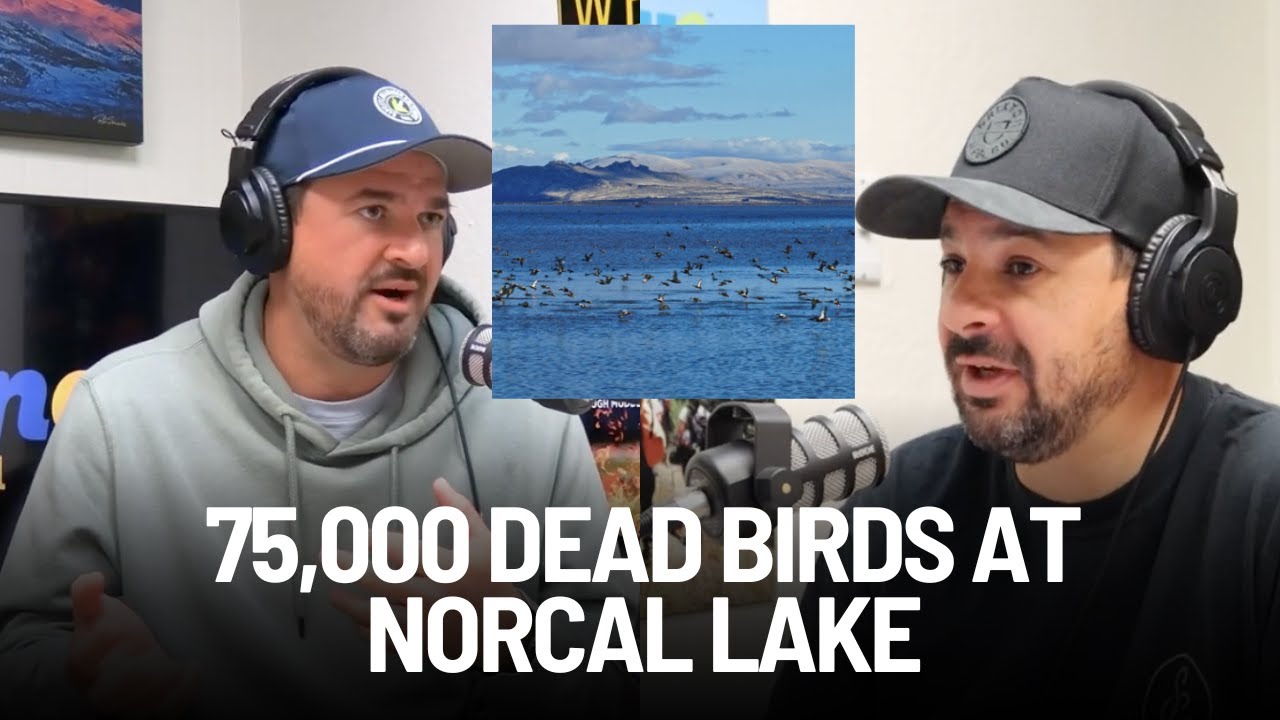 NorCal Lake Sees its Worst Botulism Outbreak in History, Killing More ...