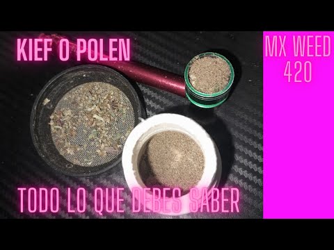 todo lo que necesitas saber para fumar kief o polen (mx weed 420) - YouTube