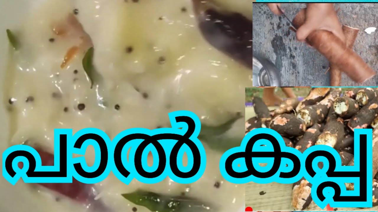 kerala styel palkappa #s#youtubeviral#palkappa#keralastylekappa# please ...