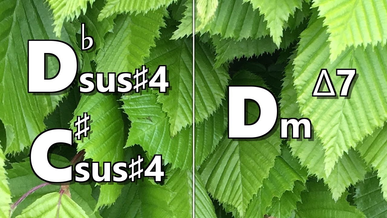 Dbsus #4 (C#sus #4) to Dm maj7 Backing Track - YouTube