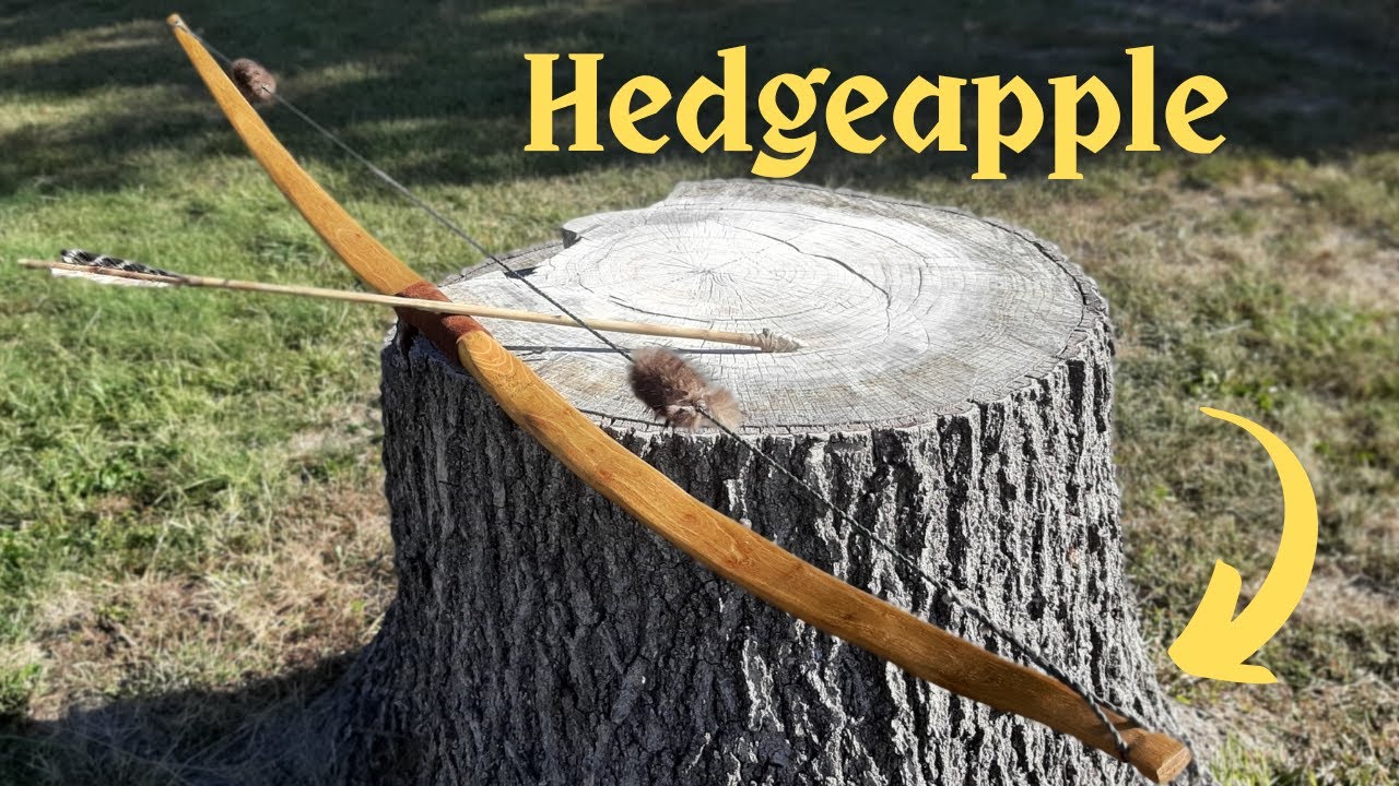 Building a Hedgeapple Bow - YouTube