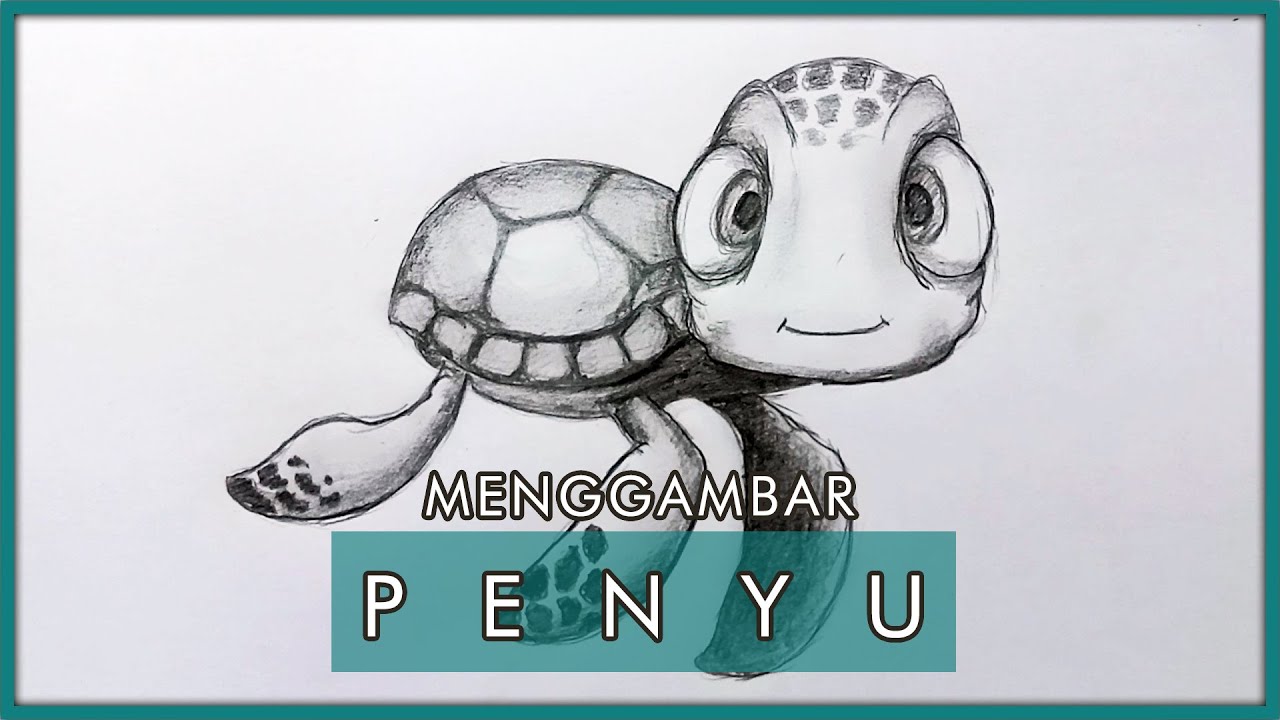 Cara Menggambar Hewan Penyu - YouTube