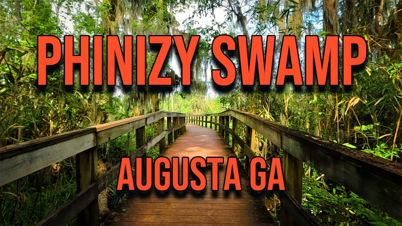 Augusta Georgia Nature Walk- Phinizy Swamp- FREE - YouTube