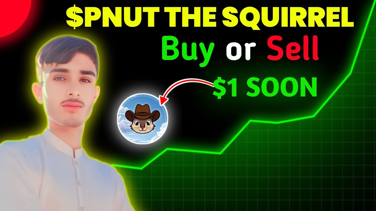 $PNUT Coin Price Prediction 2025 | $PNUT Coin Next Targets? | Trader ...