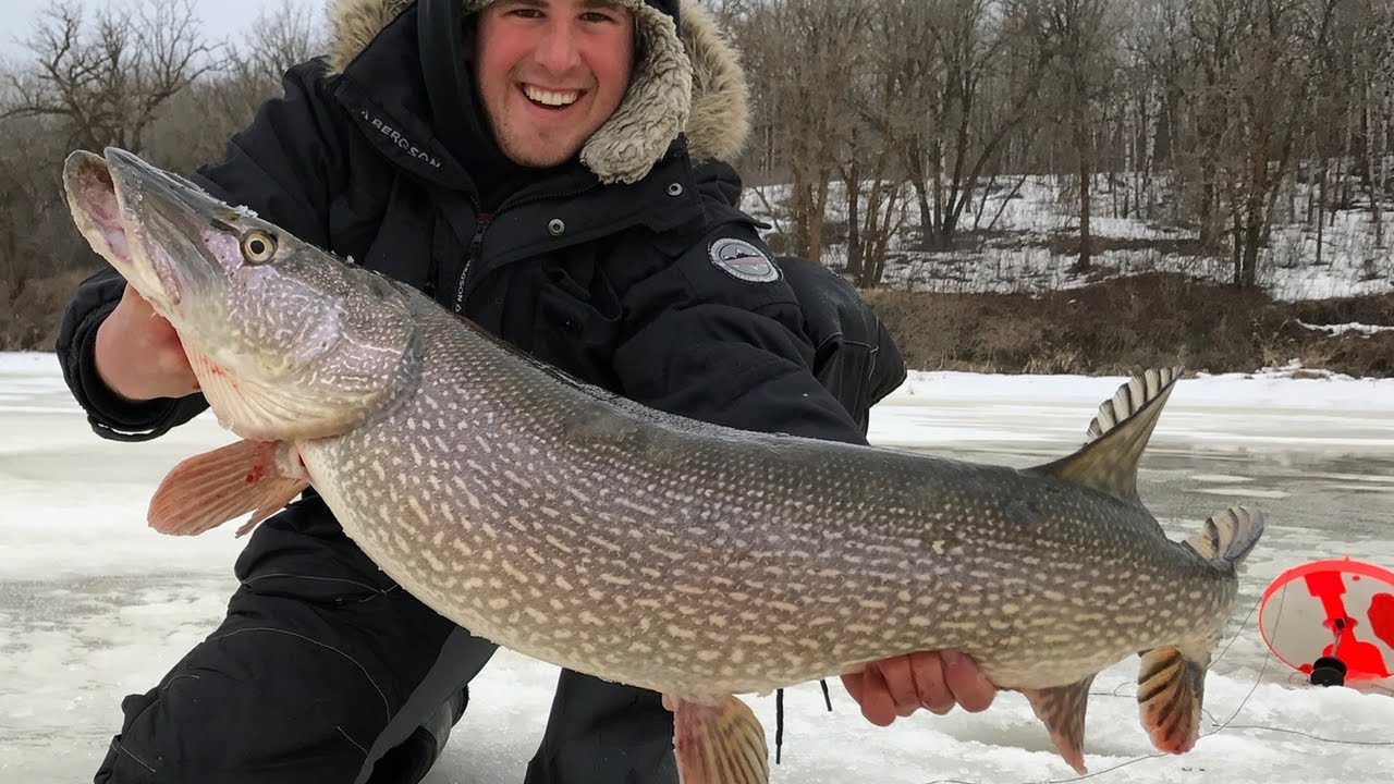 Manitoba Trophy Pike - YouTube