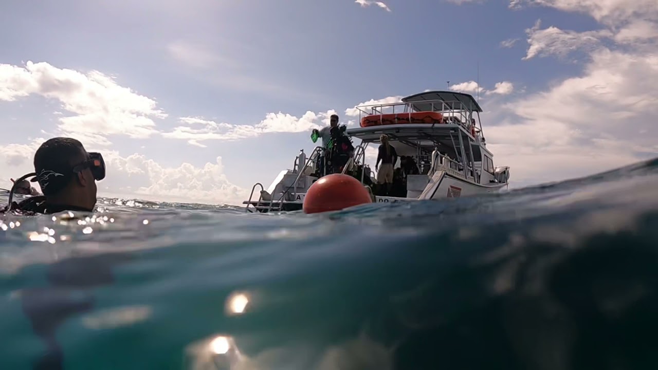 Scuba Diving the East Coast of Puerto Rico Fajardo - YouTube