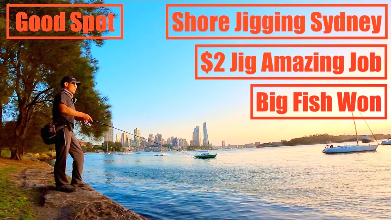 Shore Jigging Sydney | Test $2 Jig | Big fish Won - YouTube