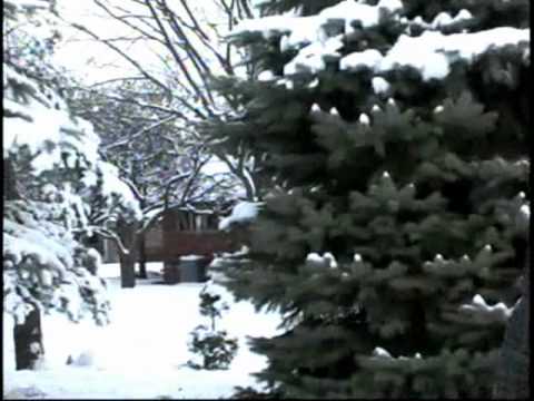 The Groon documentary - YouTube