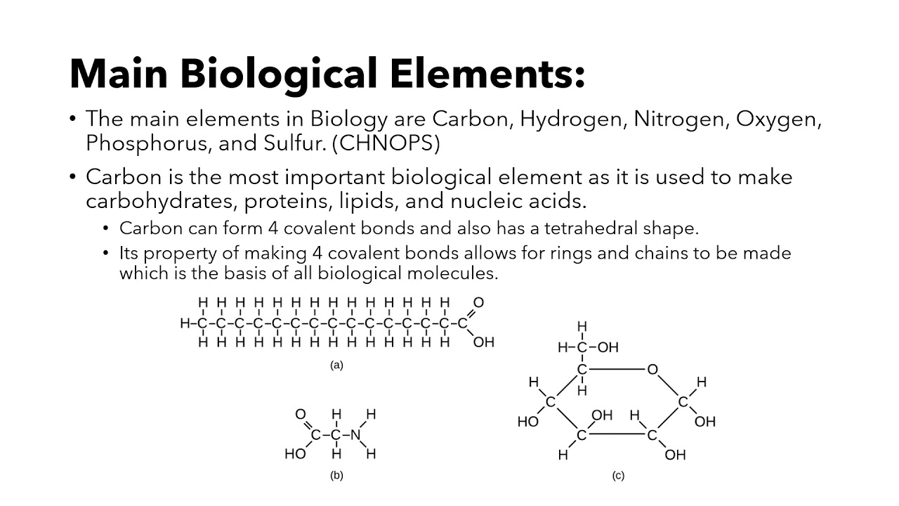 AP Biology Unit 1 Review: The Chemistry of Life - YouTube