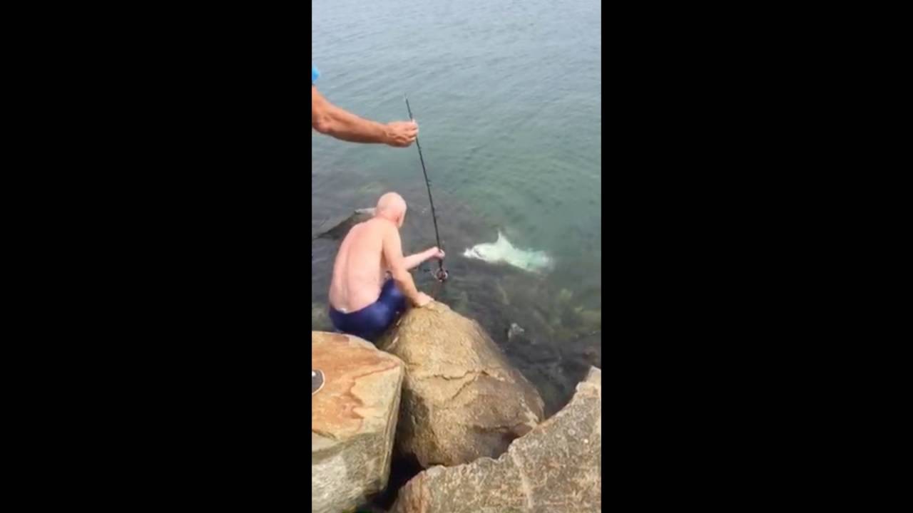 Shark Rescue Attempt off Provincetown, MA - YouTube