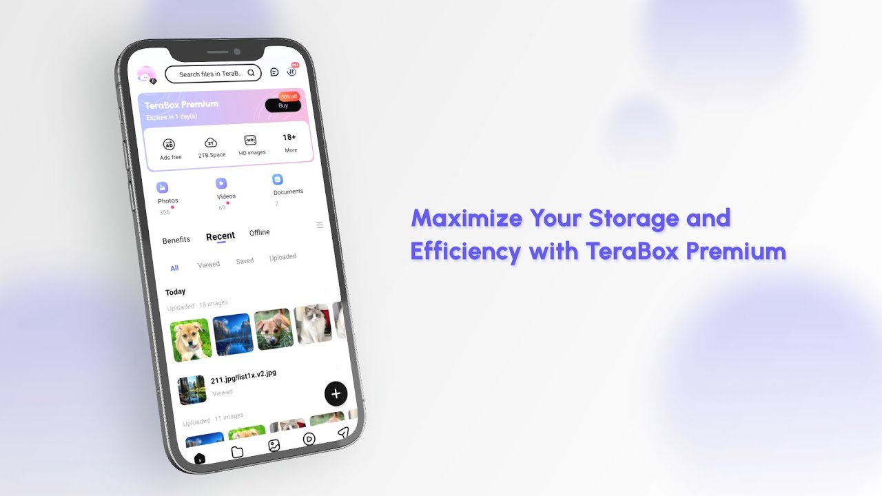 Maximize Your Storage and Efficiency with TeraBox Premium - YouTube