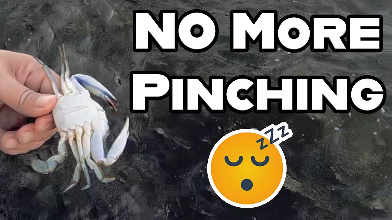Put a Crab to Sleep by Doing.. - YouTube