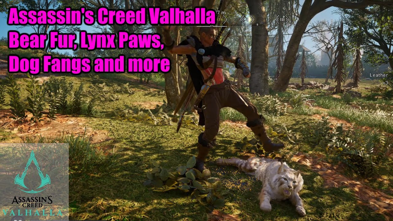 Assassin's Creed Valhalla: Dog Fangs, Lynx Paws, Reindeer Antlers ...