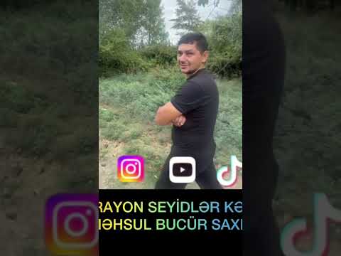 Saatlı rayon seyidlər kəndində ağarti həhsulun acnacağlı vəziyyəti