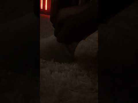 How to change socks while wearing an ankle monitor