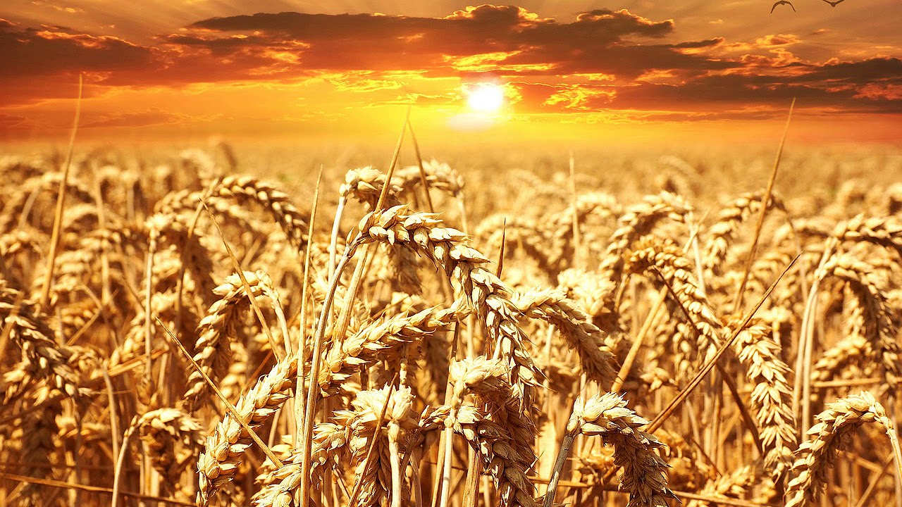 Al hamichya – Blessing after eating grain products - YouTube