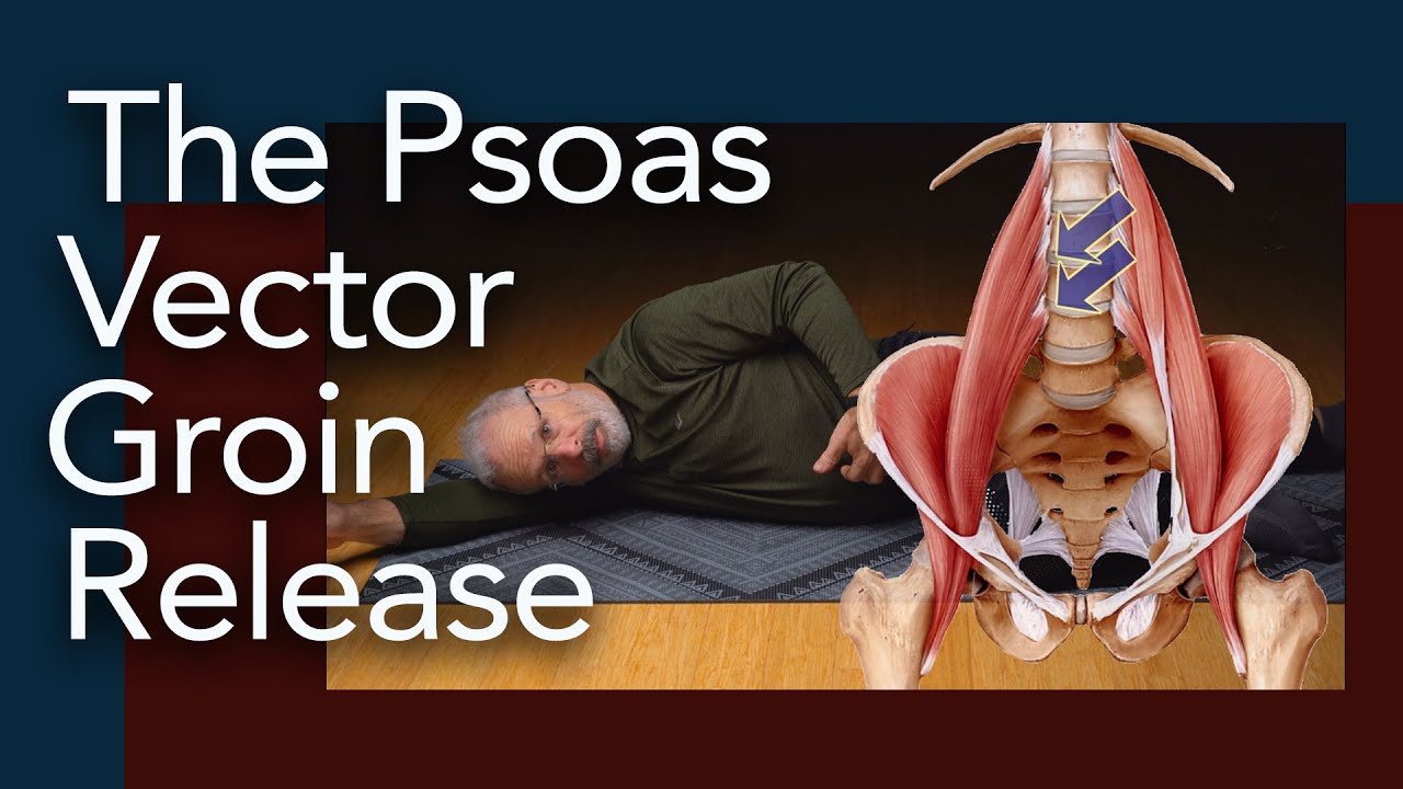 Psoas Vector Groin Release, Somatics for a tight psoas muscle - YouTube