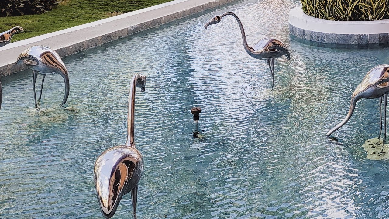 Victoria Adventures USA is live! At Majestic Resort Hotel View - YouTube