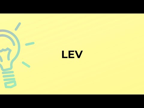 What is the meaning of the word LEV?