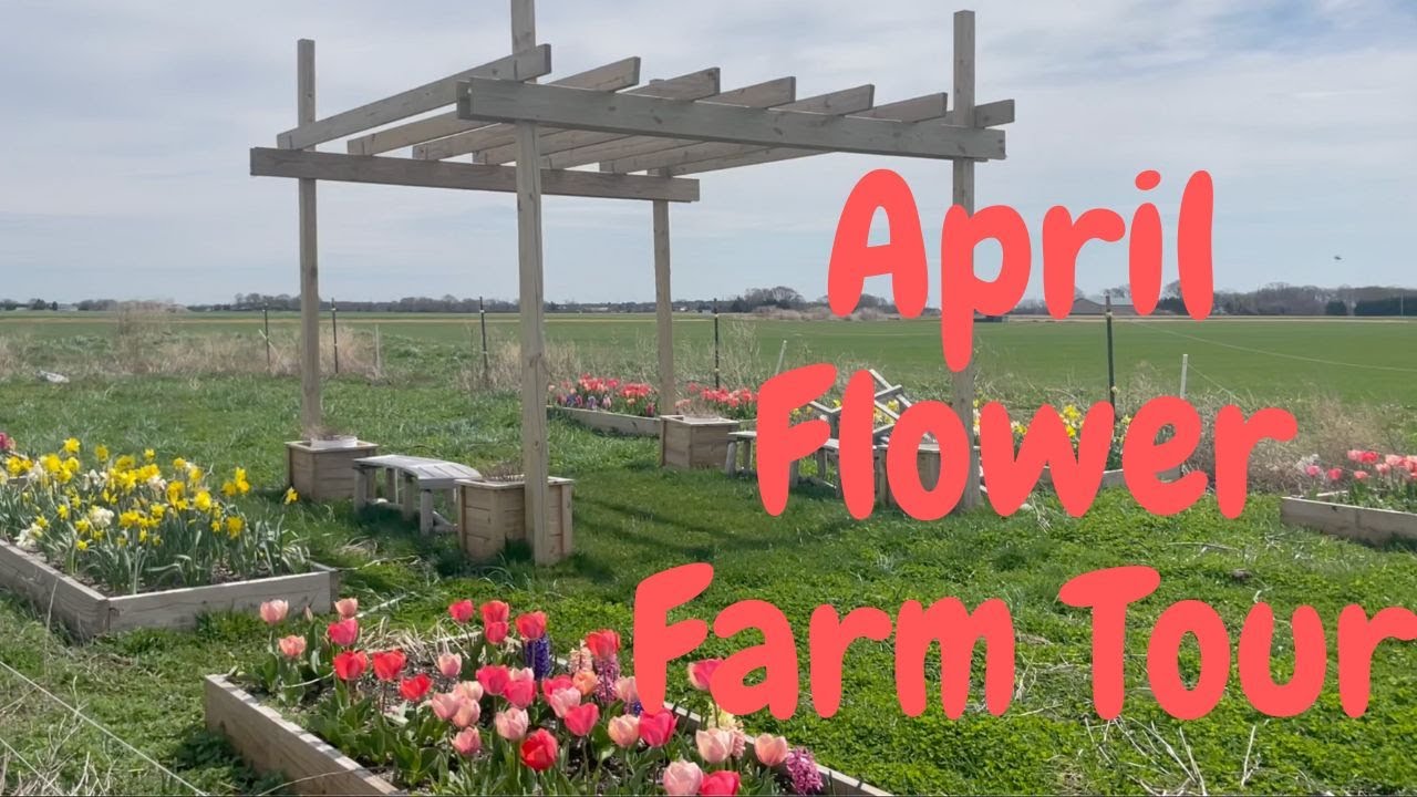 April Flower Farm Tour, Flowers in Bloom, what flowers came back! - YouTube