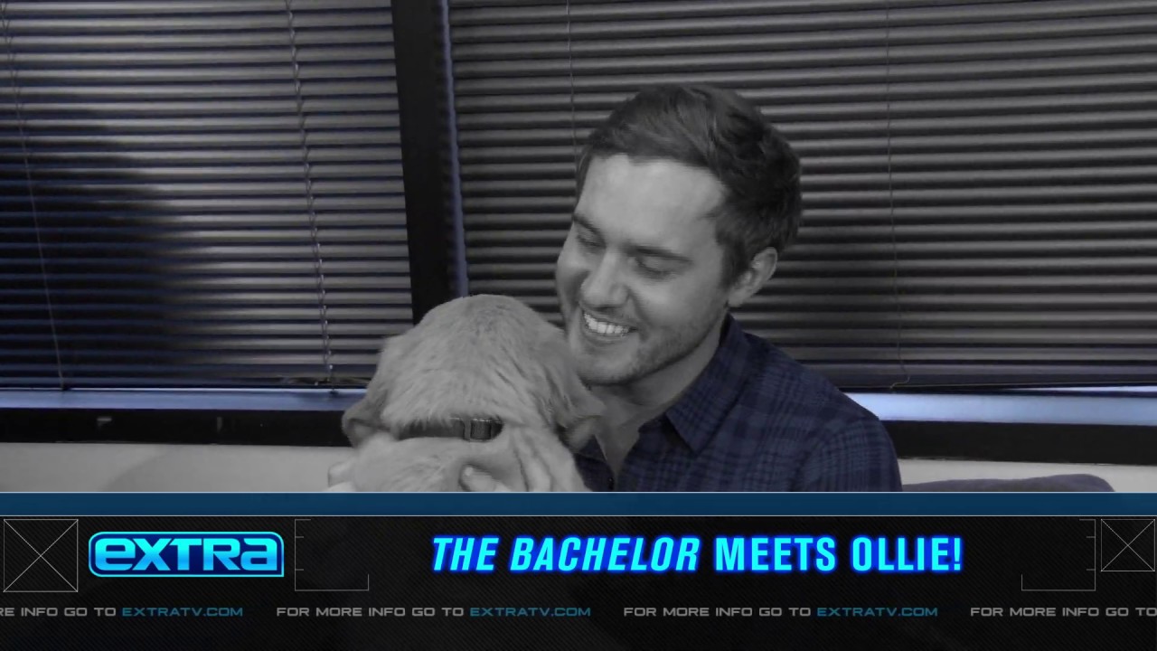 Cute Overload! See Bachelor Peter Weber Meet a Puppy - YouTube