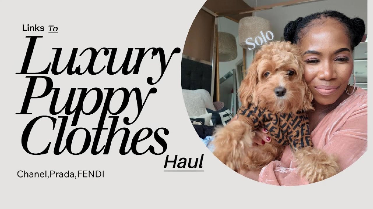 Luxury Dog Fashion Haul | Meet Solo, the Best-Dressed Cockapoo! - YouTube