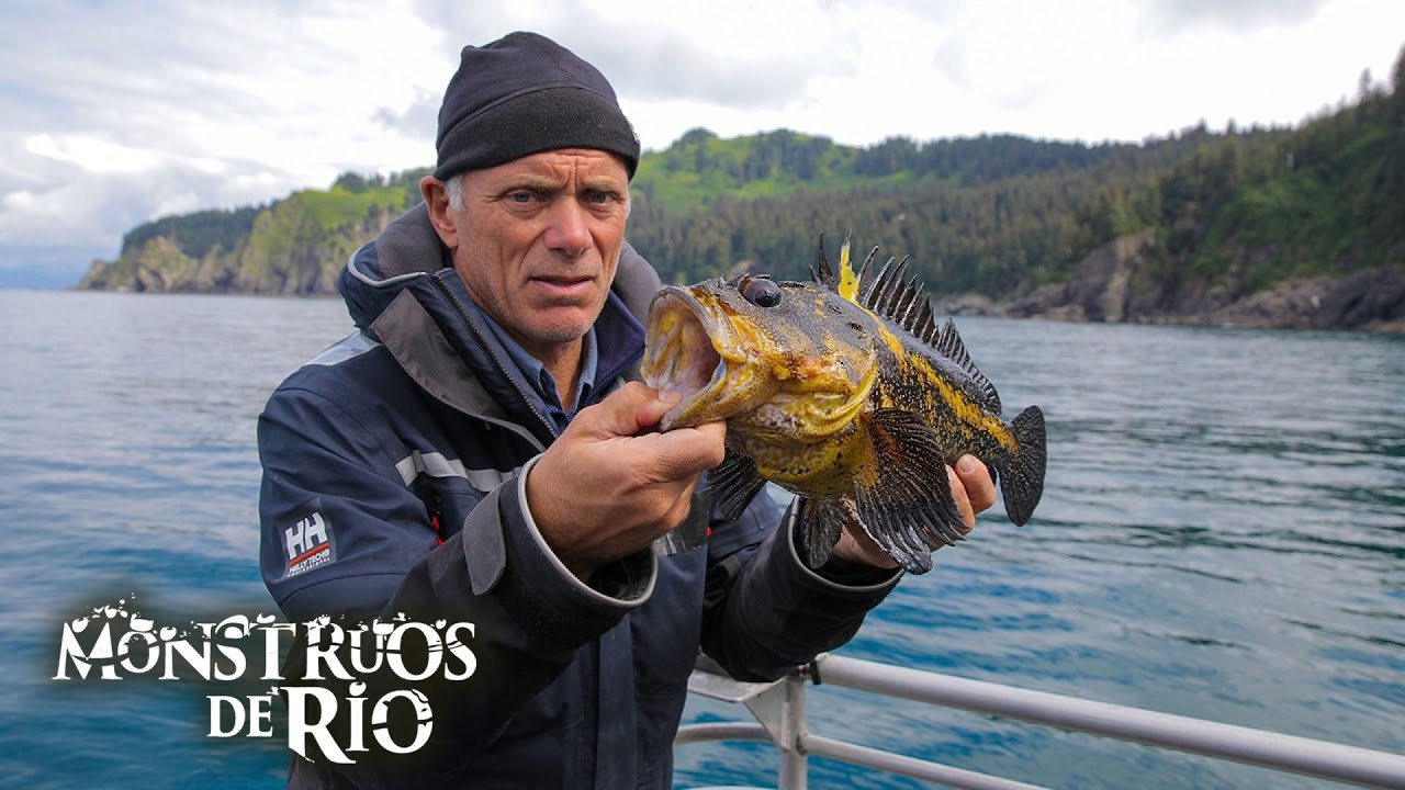 Capturas INESPERADAS y ACCIDENTALES de Jeremy Wade (Parte 2 ...