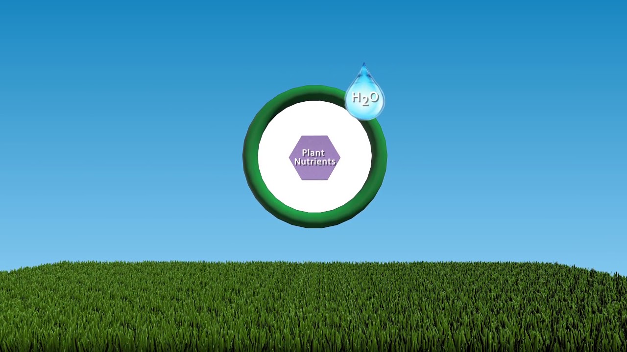 POLYON Controlled Release Fertilizer - YouTube