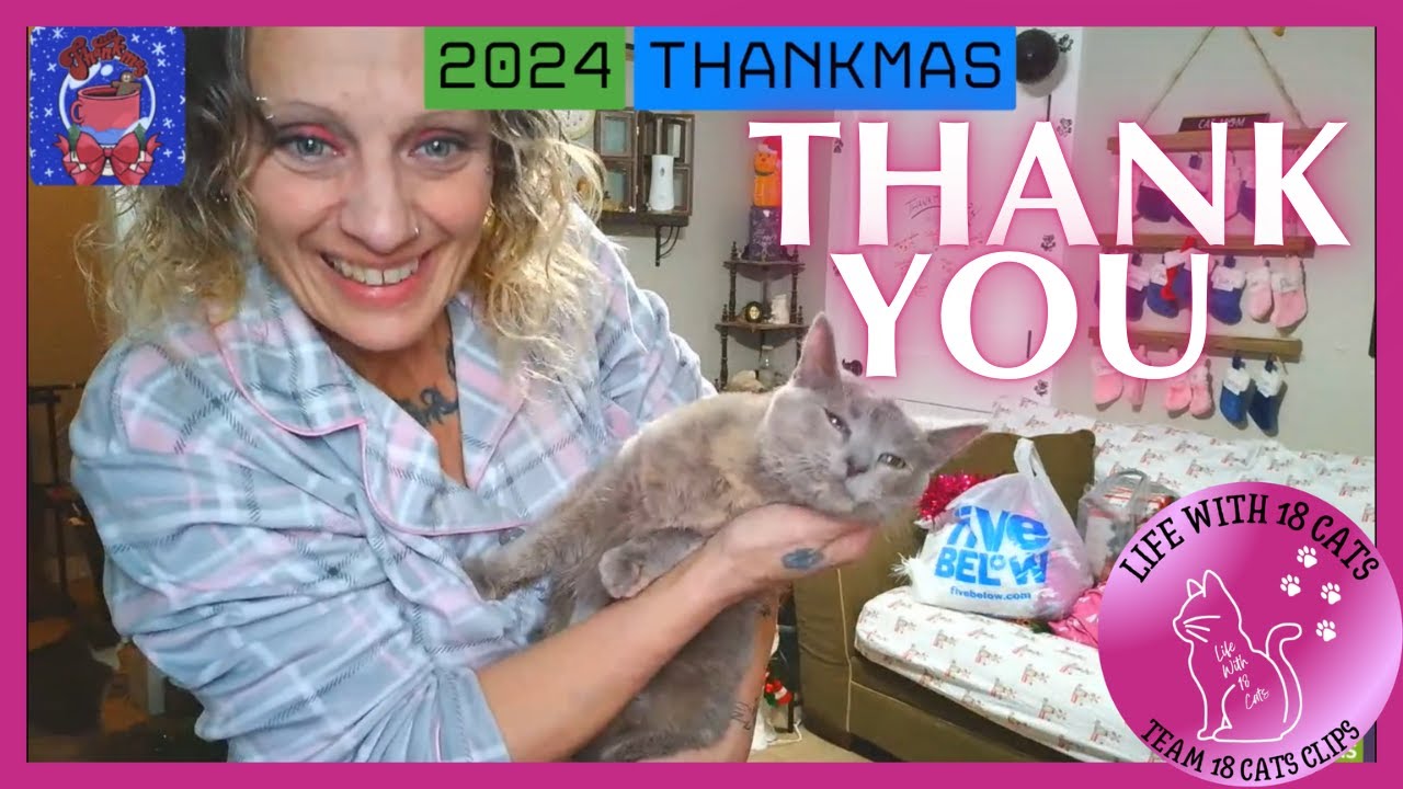 Donations for Thankmas 2024 | Team 18 Cats Clips | Life With 18 Cats - YouTube