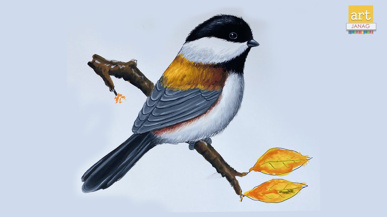 How to Draw a Sparrow II How to Draw a Cute Bird II #artjanag - YouTube