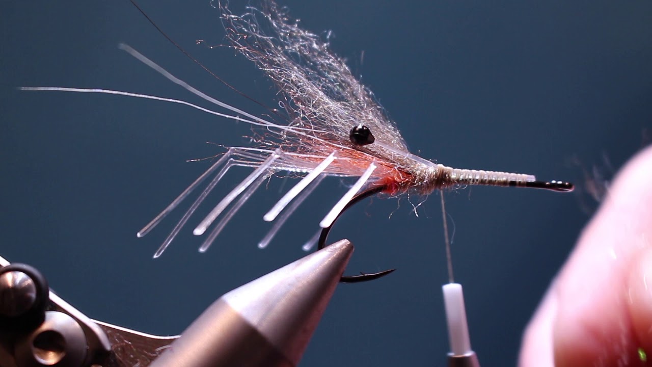 Easy Laser Shrimp 2.0 - YouTube