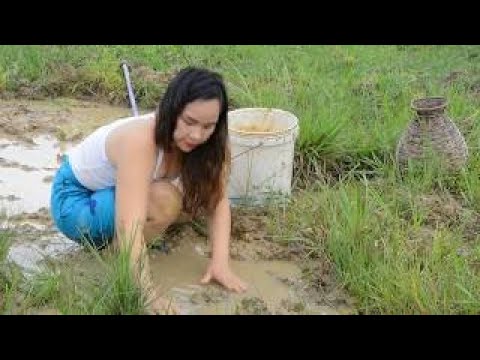 Wow!Beautiful girl Fishing at battambang Pailin How to catches Fish By Hand Part 109