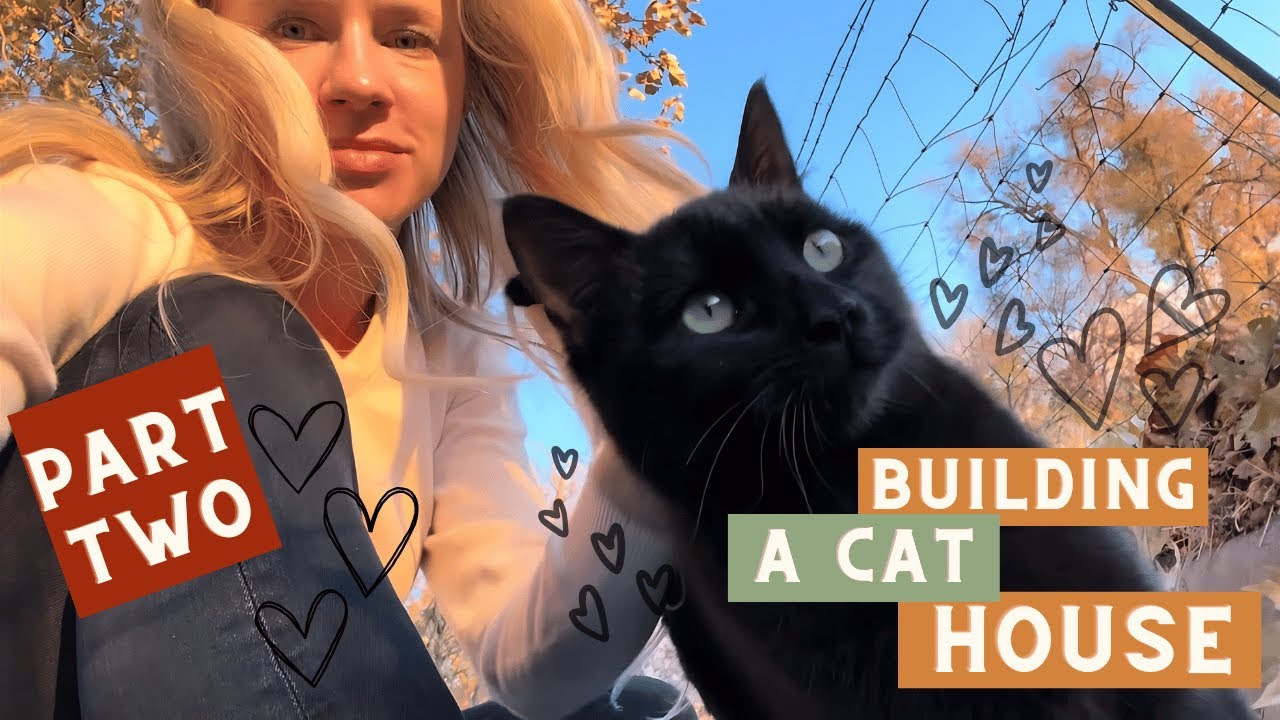 Kat House Part 2 - YouTube