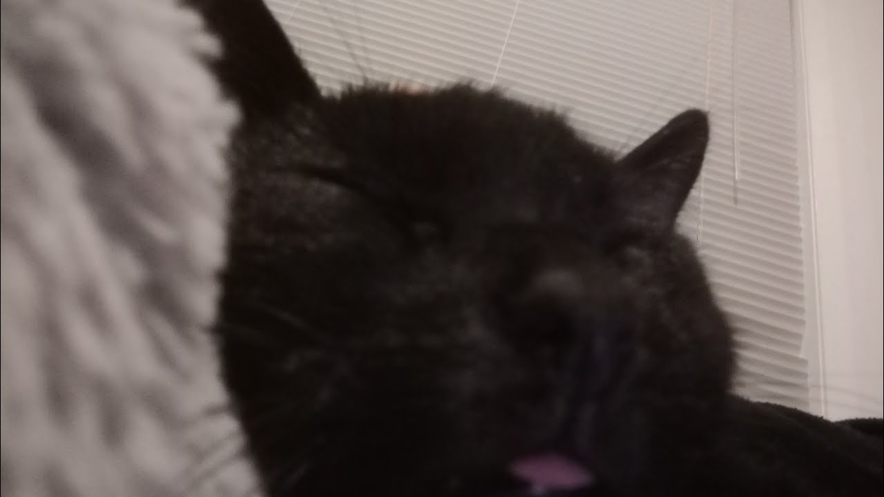leave my earphones alone creature - YouTube