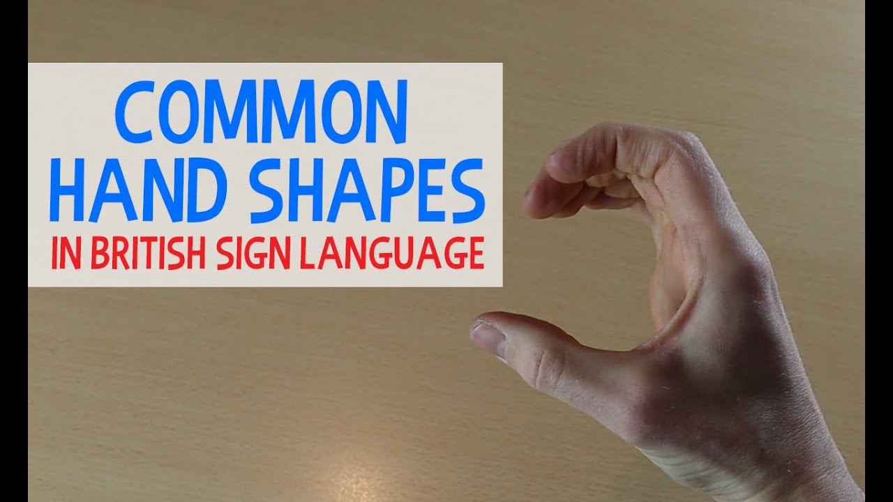 Bsl Basic Handshapes Sign British Sign Language Sign - vrogue.co Bsl Basic Handshapes Sign British Sign Language Sign - vrogue.co