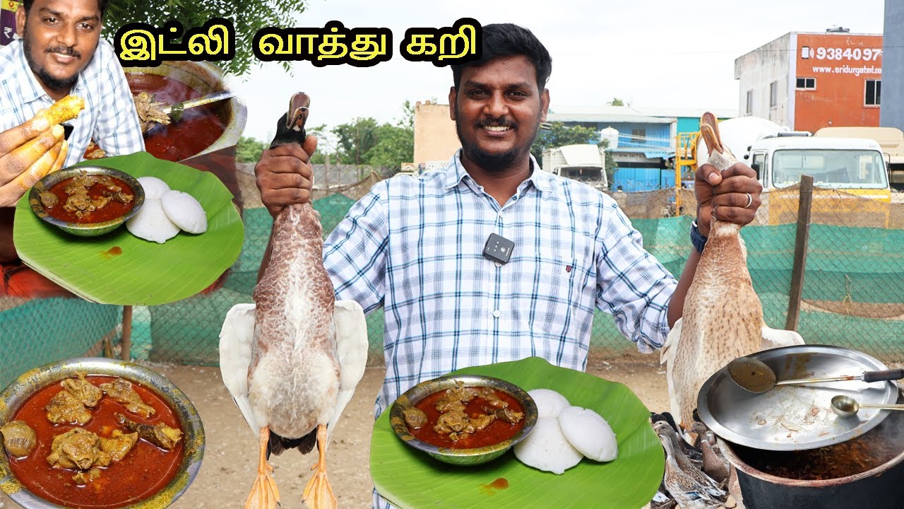 சென்னையில் வாத்துகறி குழம்பு ஆவி பறக்கும் இட்லி |Duck Curry Cooking ...