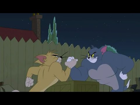 Tom and Jerry Show / Tom The Gym Cat - YouTube