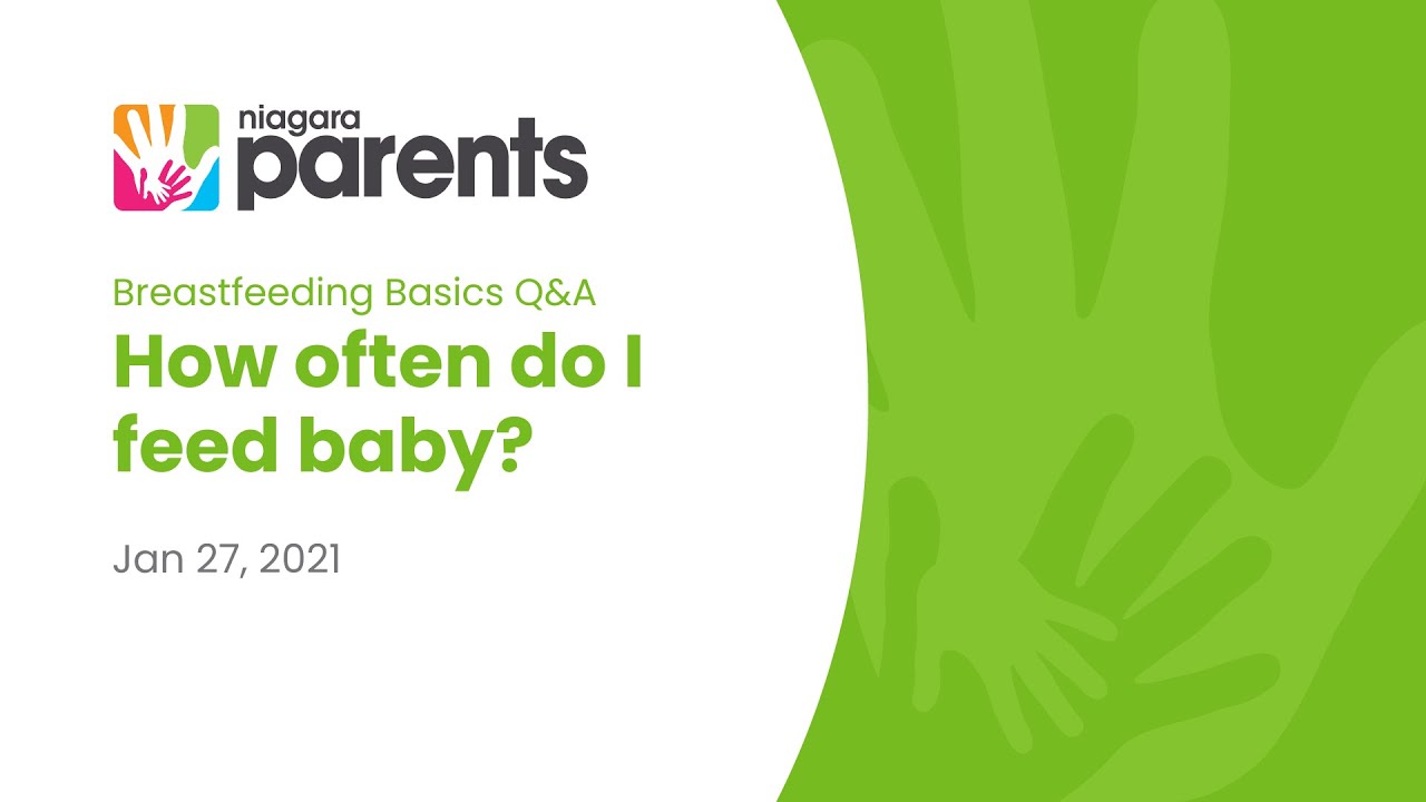 How Often Do I Feed Baby YouTube how-often-do-i-feed-baby-youtube