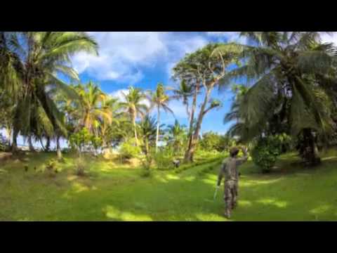 Pacuare Nature Reserve on the Caribbean Coast of Costa Rica - YouTube