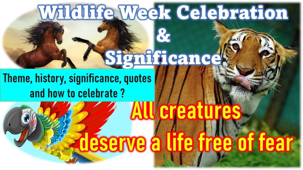 World Wildlife Day | Save wild life and forests | Wildlife Week Theme ...