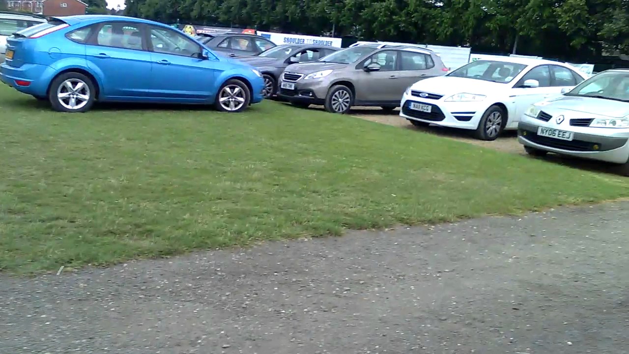 Finding bailey - YouTube