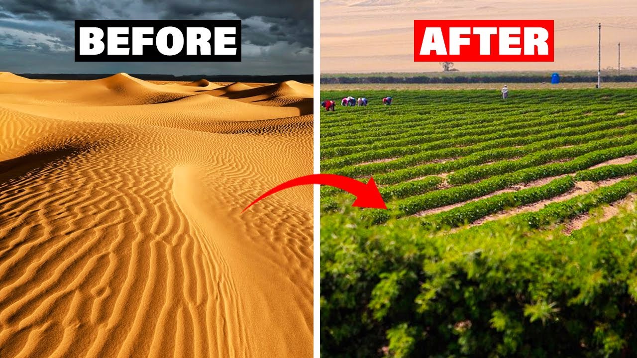 How Saudi Arabia Is Turning It's Desert Into Green Oasis - YouTube