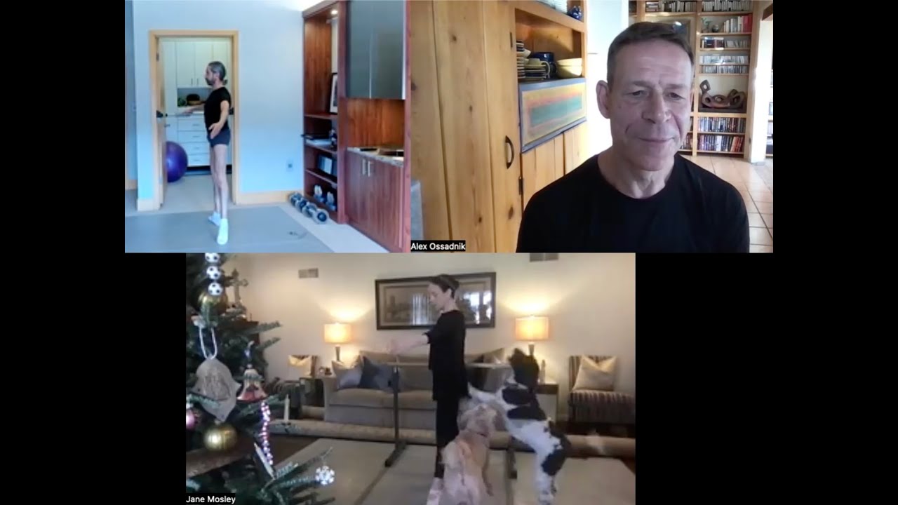 Ballet After 60: When the dogs invade tendus in ballet class! - YouTube