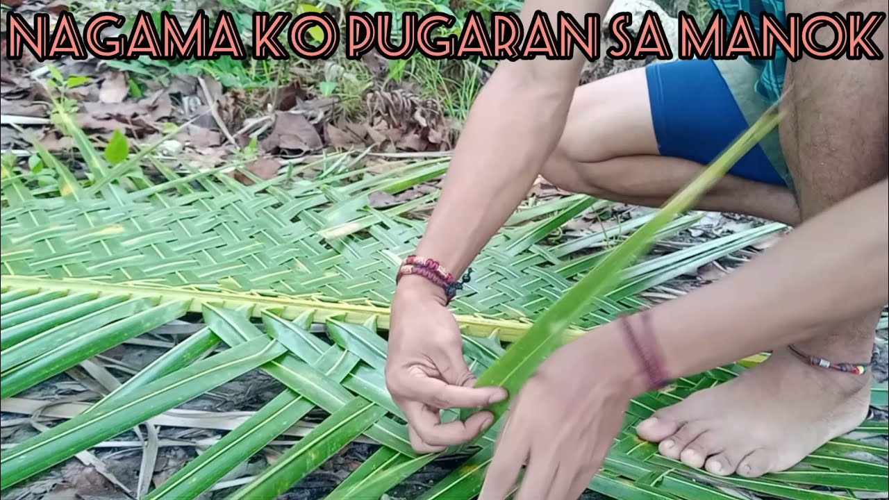 Nagama ko pugaran sa manok🤣 Rufoboytv - YouTube