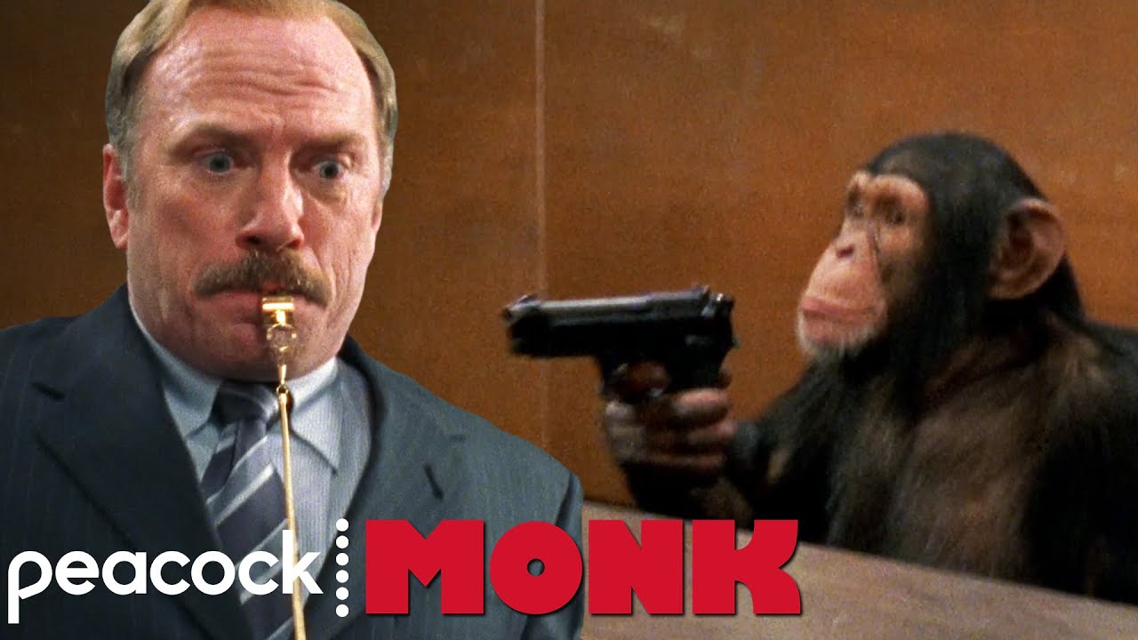 Can a Chimpanzee Fire a Gun? | Monk - YouTube