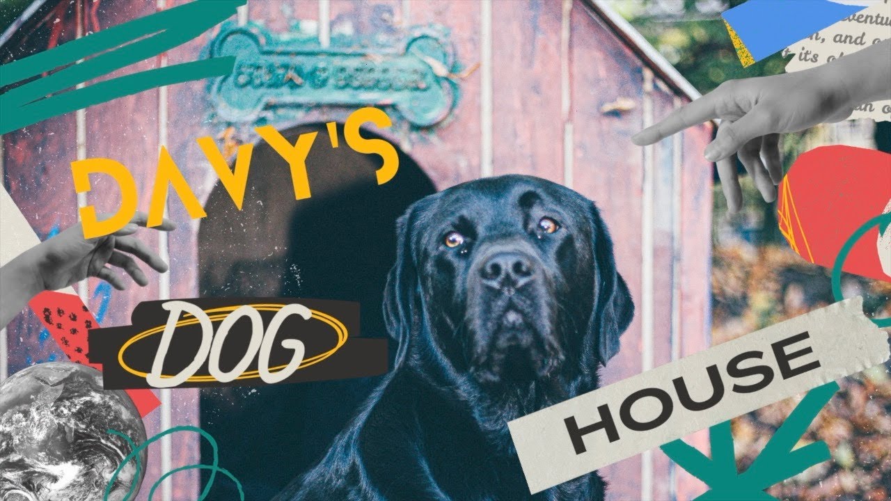 DD1 Ty Brandon talks drones for listing videos - YouTube