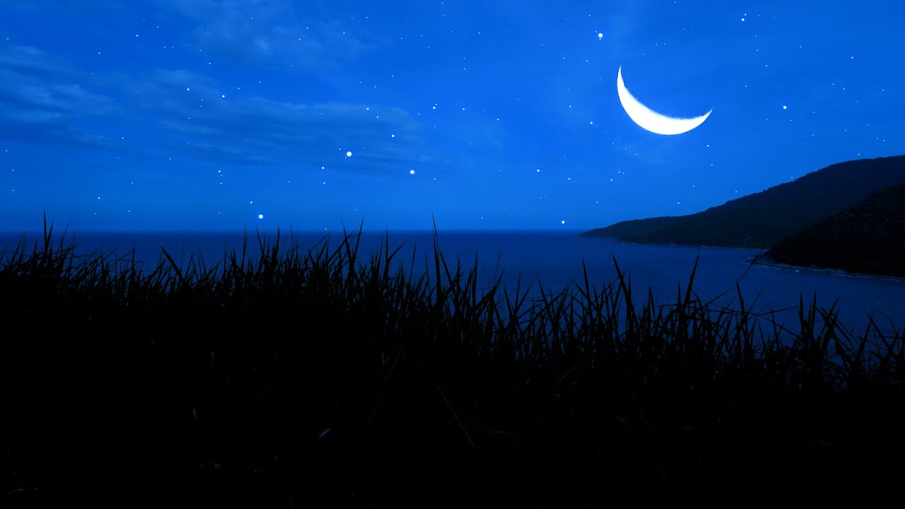 Cricket and Wind Night Sounds for Relax, Stress Relief, Deep Sleep ...