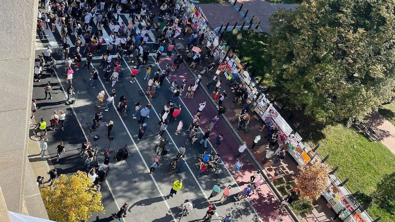 A massive crowd is gathering outside the White House to celebrate Joe ...