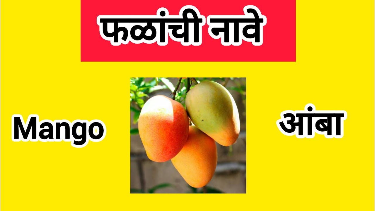 Fruits in Marathi | Learn Marathi For Beginners | Pebbles Marathi ...